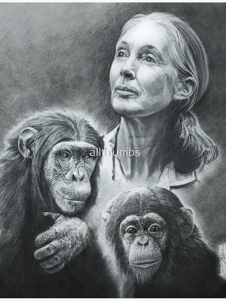 "WE ARE FAMILY JANE GOODALL" Poster by allthumbs | Redbubble
