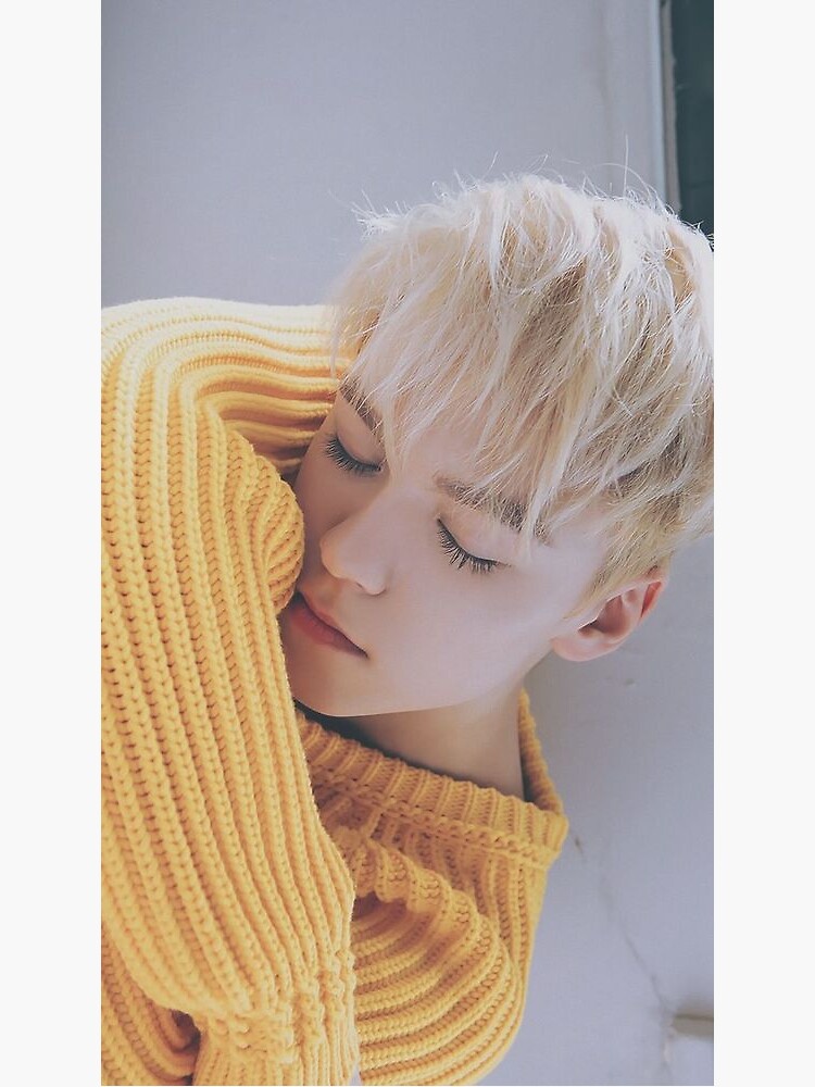 "Seventeen - Vernon Sticker" Sticker by Magalyv98 | Redbubble