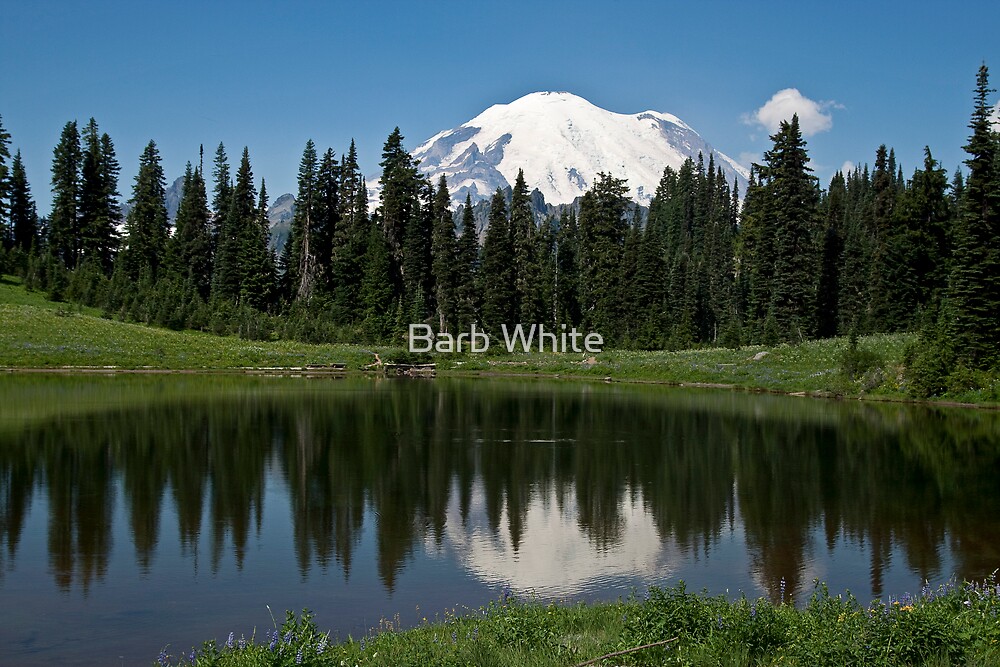 "Tipsoo Lake, Mt. Rainier National Park" by Barb White | Redbubble