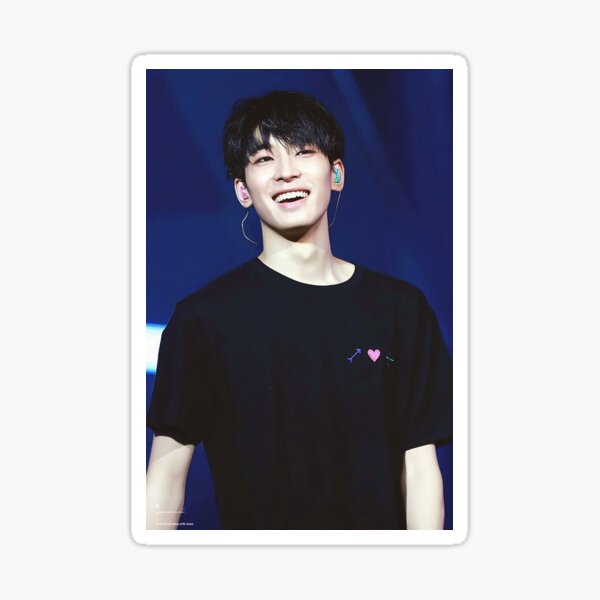 "Seventeen - Wonwoo Sticker" Sticker for Sale by Magalyv98 | Redbubble