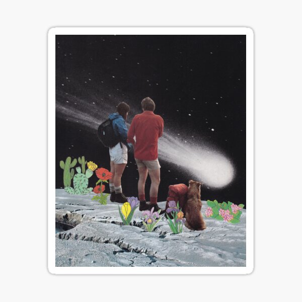 "Comet" Sticker for Sale by lerson | Redbubble