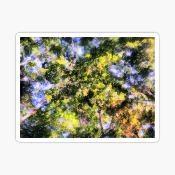 "rainforest canopy" Sticker for Sale by OzCamera | Redbubble