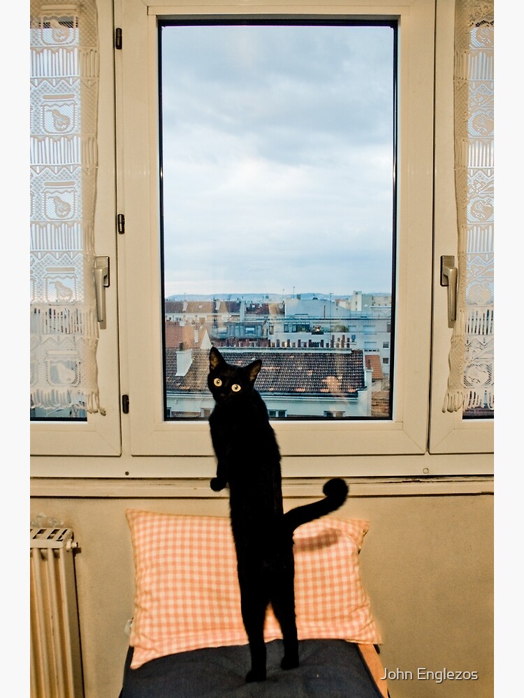 "Paris Cat" Poster by JohnEnglezos | Redbubble