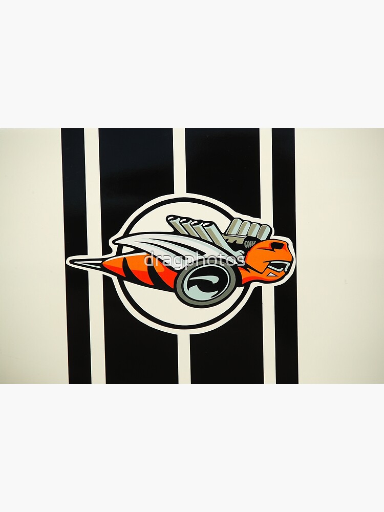 "ANGRY V8 BEE Retro Muscle Car Hemi" Art Print by dragphotos | Redbubble