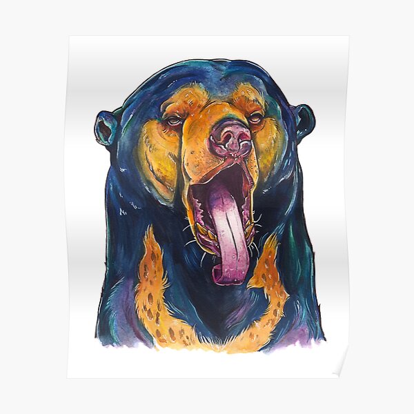 "SUN BEAR " Poster for Sale by imynagle | Redbubble