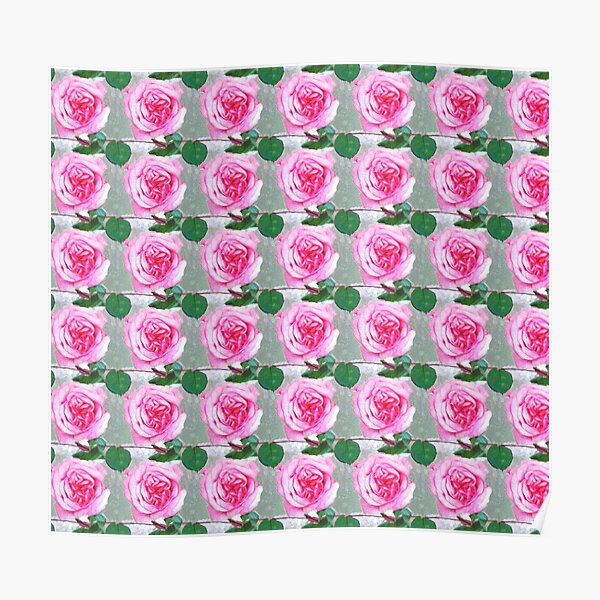"Sleeping beauty roses" Poster by bettyretro | Redbubble