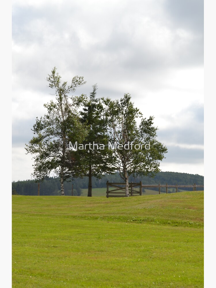 "We Three" Sticker for Sale by MarthaMedford | Redbubble