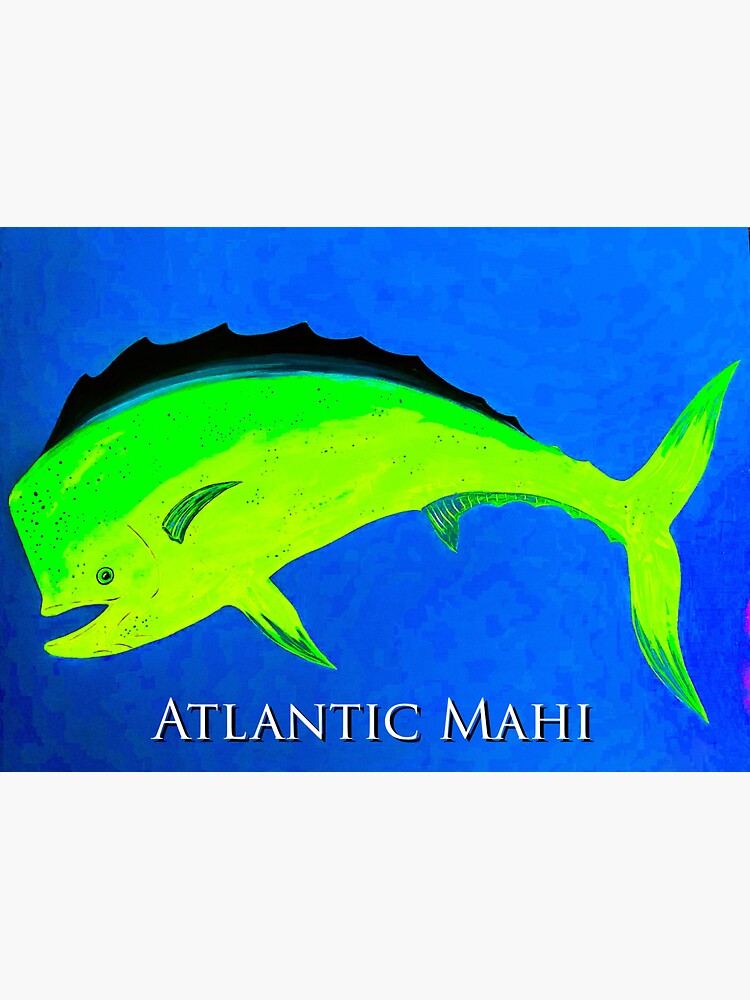 "Atlantic Mahi " Sticker for Sale by barryknauff | Redbubble