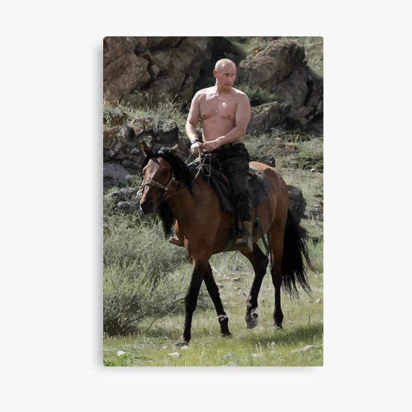 Vladimir Putin Wall Art | Redbubble