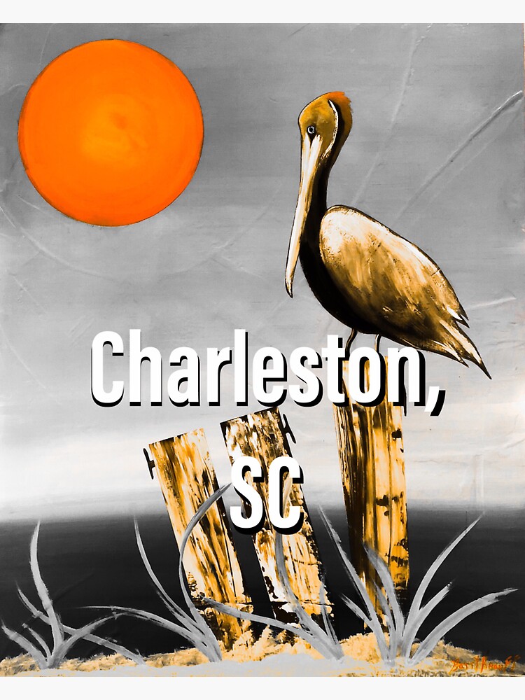 "Charleston SC" Sticker by barryknauff | Redbubble