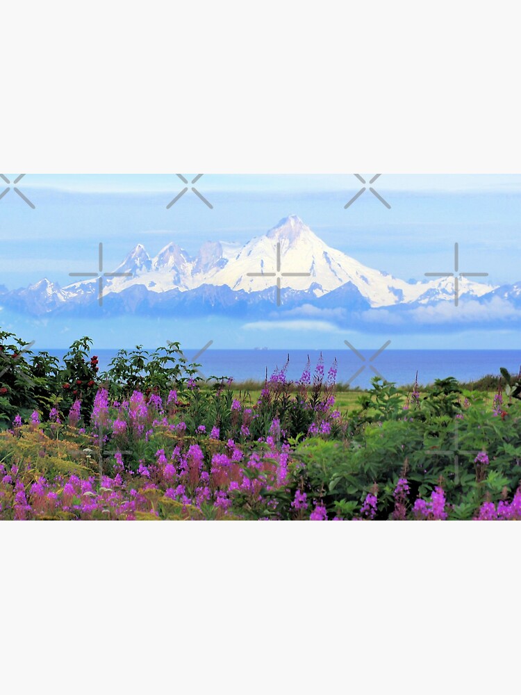 "Mt. Iliamna, Homer, Alaska, Fireweed, Cook Inlet" Sticker by ...