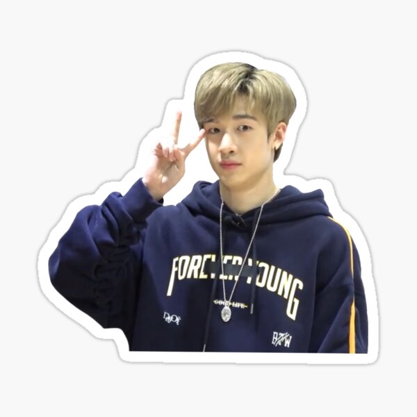 "Stray Kids' Bang Chan" Sticker for Sale by ZoQiao | Redbubble