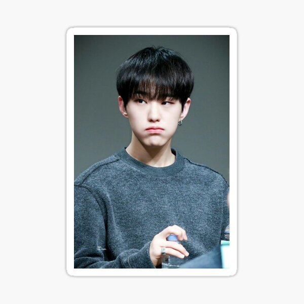 "Seventeen - Hoshi Sticker" Sticker by Magalyv98 | Redbubble