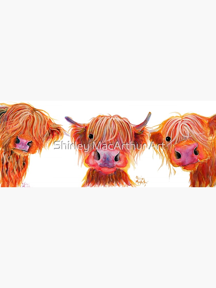 "HiGHLaND CoW PRiNT SCoTTiSH ' THe ORaNGeS ' BY SHiRLeY MacARTHuR" Art ...
