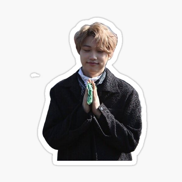 Stray Kids Stickers | Redbubble