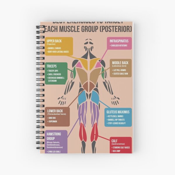 "Best Exercises For Each Muscle Group (Posterior)" Journal for Sale by ...