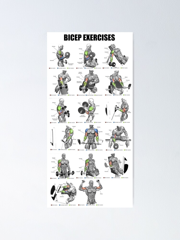 Biceps Workout Poster | atelier-yuwa.ciao.jp
