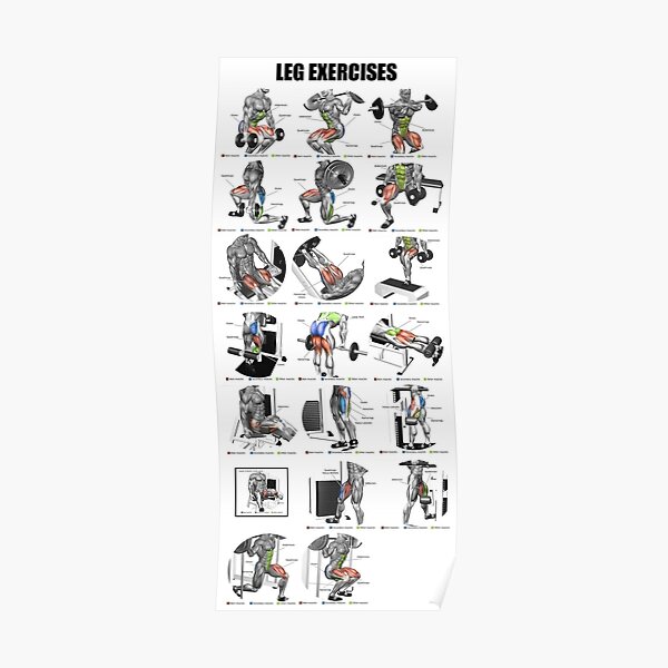 "Leg Exercises" Poster for Sale by superfitstuff | Redbubble