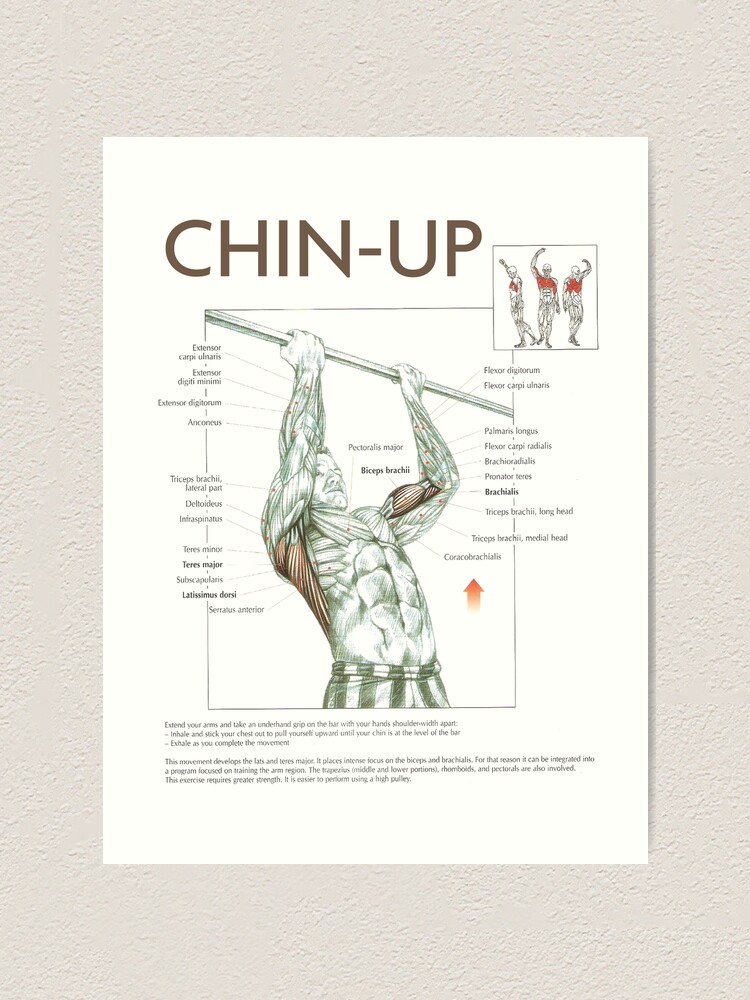 "Chin-Up - Exercise Diagram" Art Print for Sale by superfitstuff ...