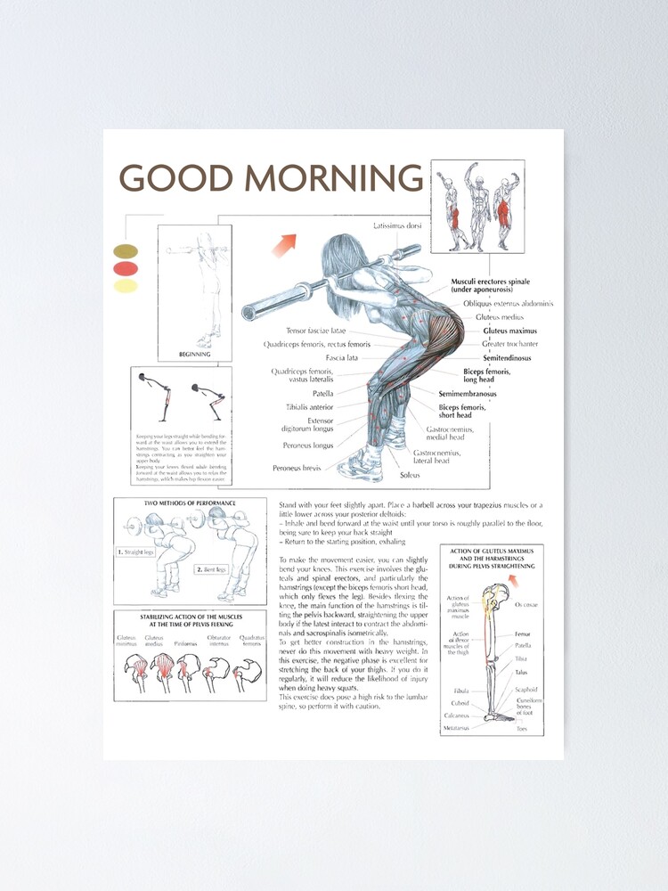 "Good Morning - Exercise Diagram" Poster for Sale by superfitstuff ...