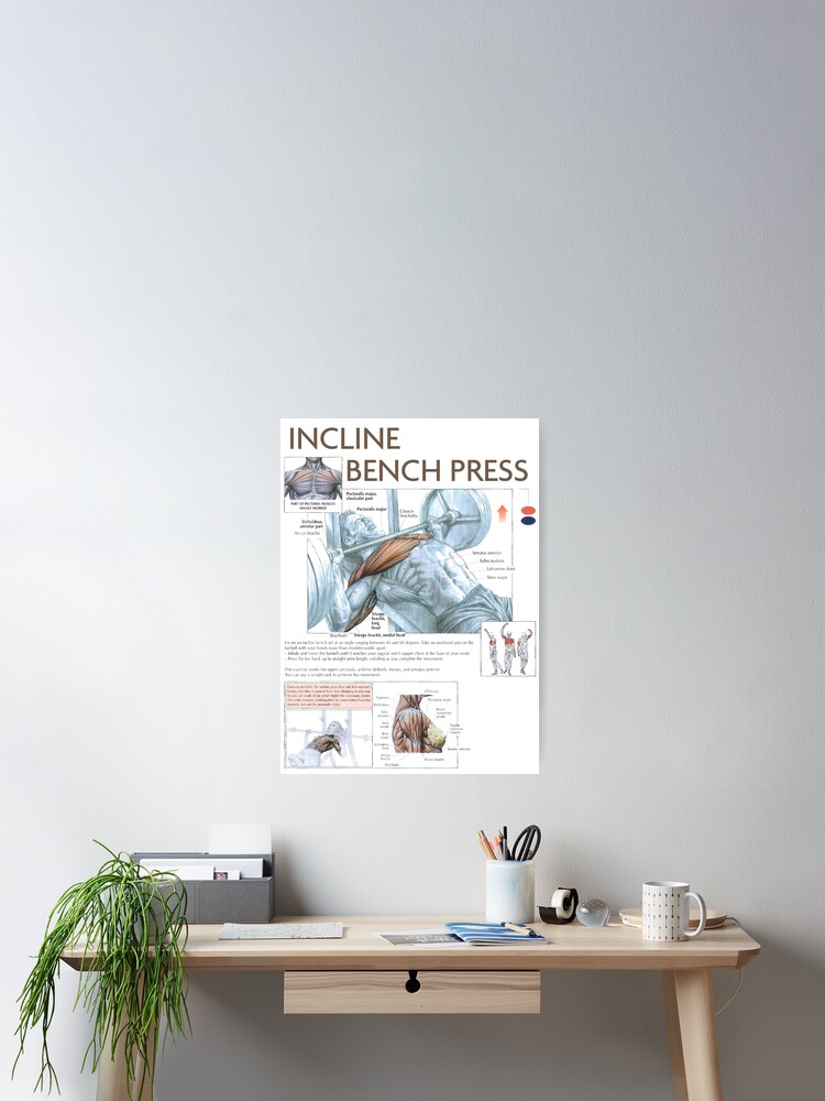 "Incline Bench Press - Exercise Diagram" Poster for Sale by ...