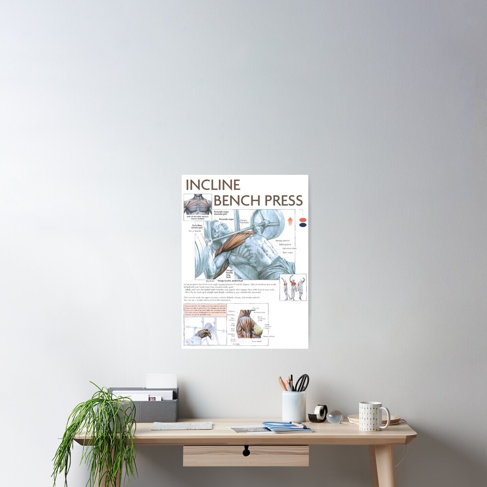 "Incline Bench Press - Exercise Diagram" Poster for Sale by ...