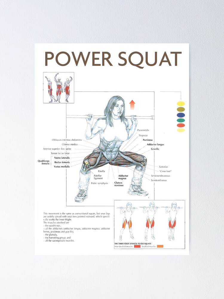 "Power Squat - Exercise Diagram" Poster for Sale by superfitstuff ...