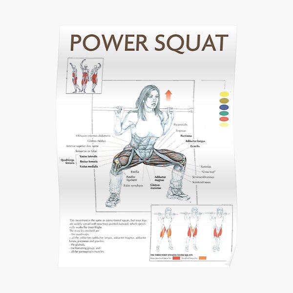 "Power Squat - Exercise Diagram" Poster for Sale by superfitstuff ...