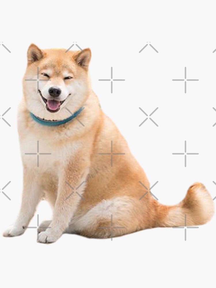 "Happy Shibe" Sticker for Sale by Elisecv | Redbubble