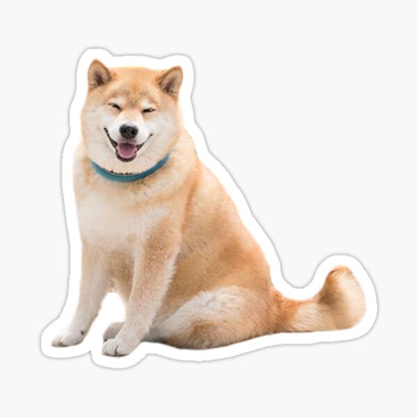 "Happy Shibe" Sticker for Sale by Elisecv | Redbubble