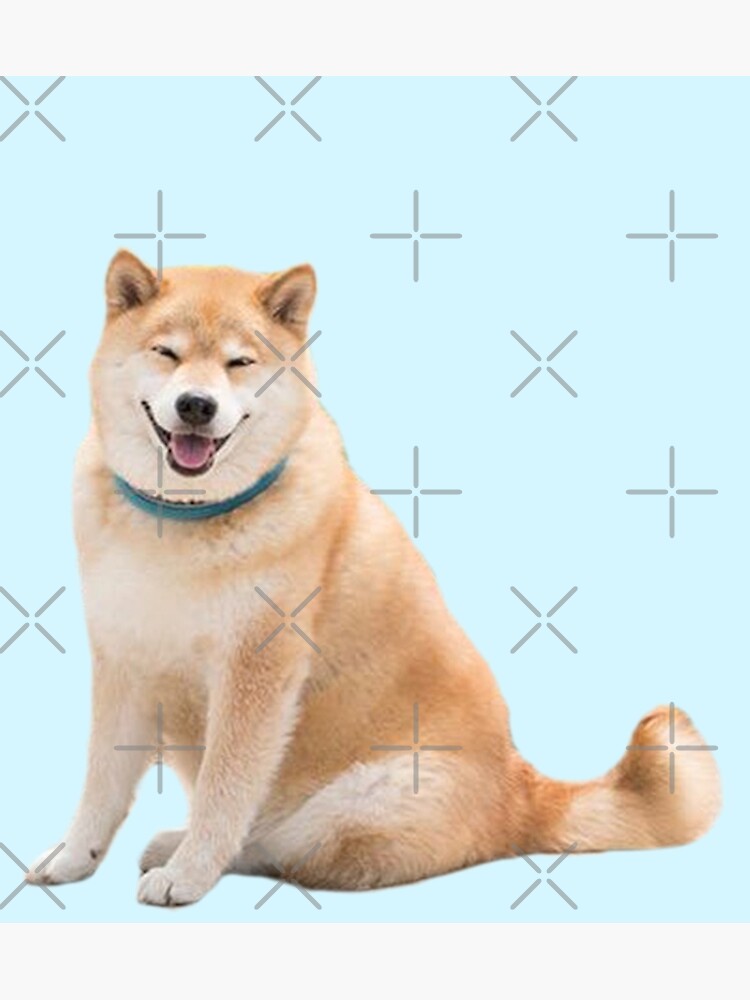 "Happy Shibe" Framed Art Print for Sale by Elisecv | Redbubble