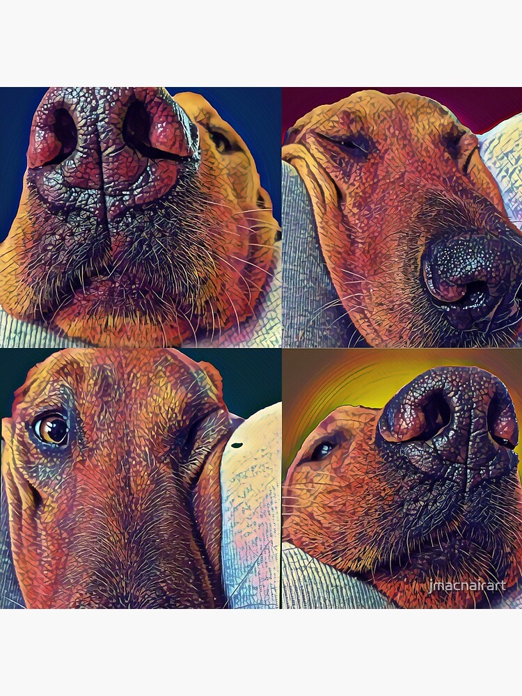 "Squishy Face" Poster for Sale by jmacnairart | Redbubble