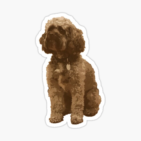 "Brown Cockapoo" Sticker for Sale by LeatherDragon | Redbubble