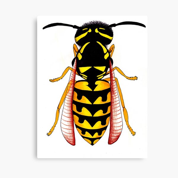 Yellow Jacket Wall Art | Redbubble