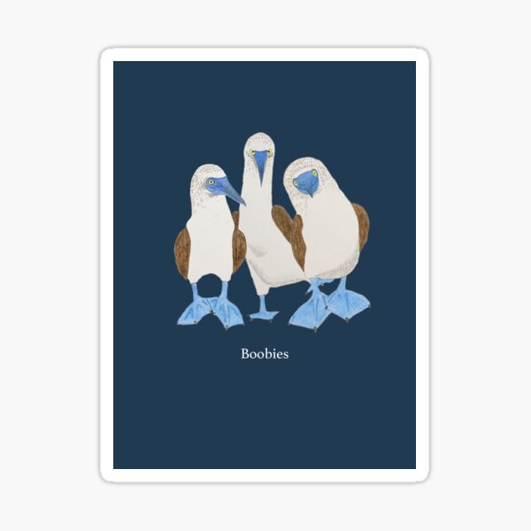 "Boobies" Sticker for Sale by fluidacrylics | Redbubble