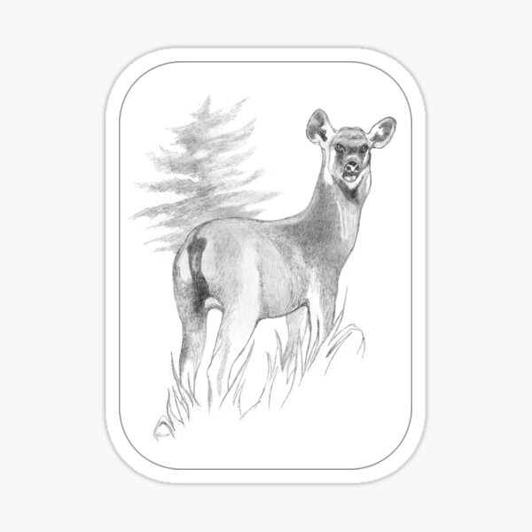 "Sambar Hind" Sticker by junglequeen | Redbubble