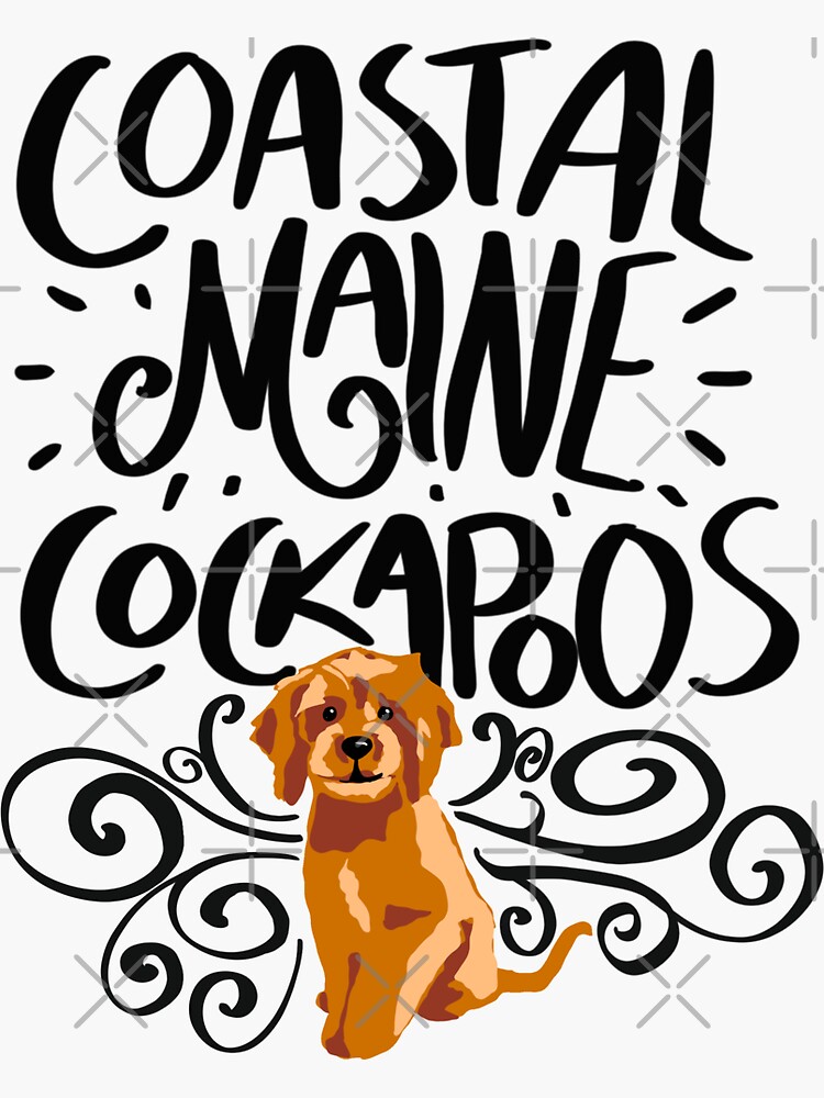 "Coastal Maine Cockapoos design 1" Sticker by dogladie | Redbubble