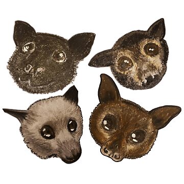 "Four Species Of Flying Fox Bats." Sticker for Sale by BabyBats | Redbubble