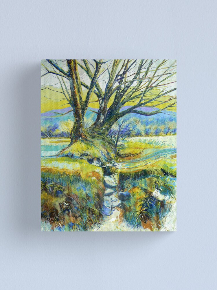 "Down Tor Trees" Canvas Print for Sale by RSunderland | Redbubble