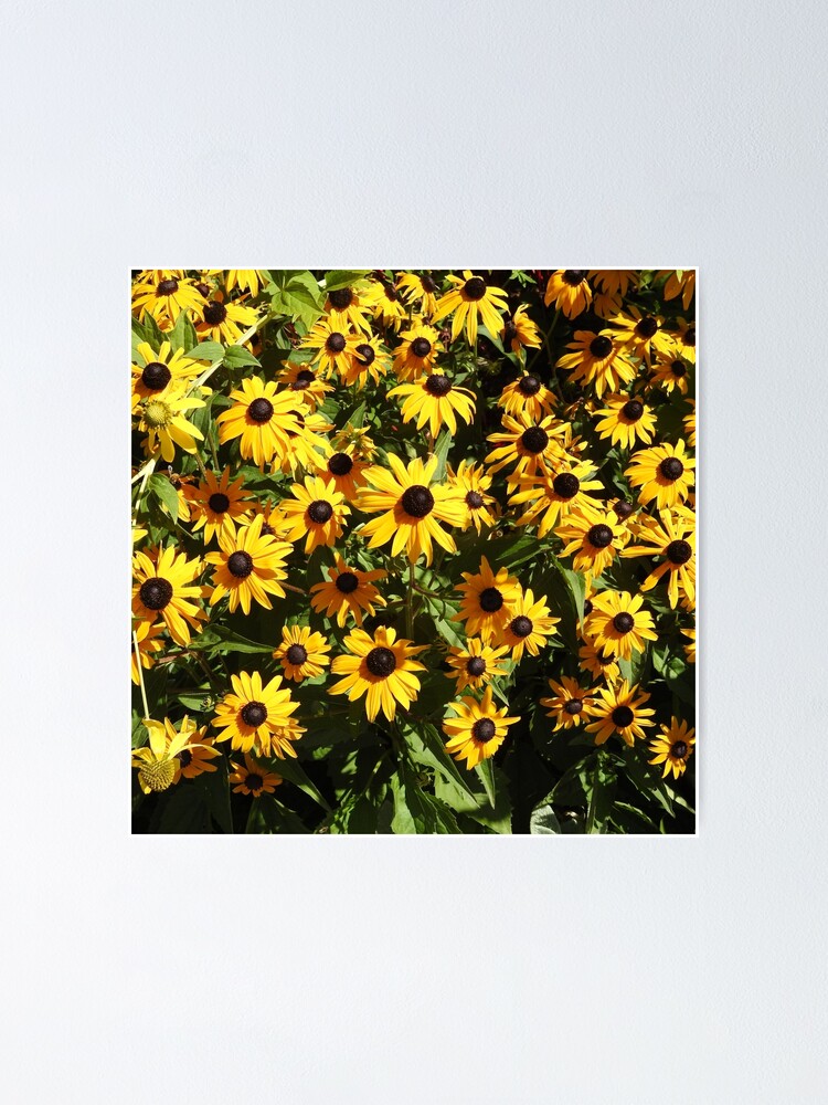 "yellow daisy" Poster by StudioCorvid | Redbubble