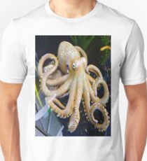 Octopus: Gifts & Merchandise | Redbubble