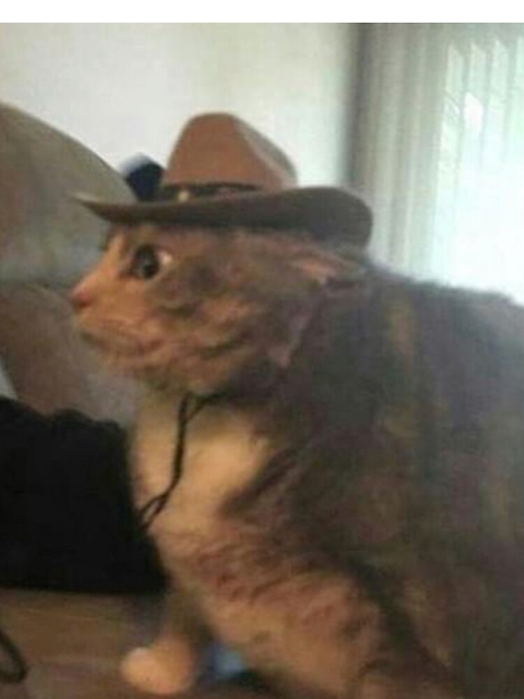 "Yeehaw Cat" T-shirt for Sale by honkhonkheccign | Redbubble | meme ...