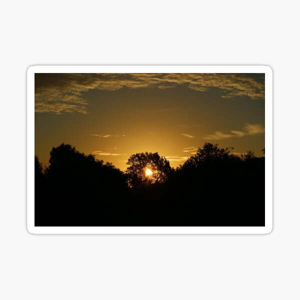 "Sunrise" Sticker for Sale by AngieKro | Redbubble