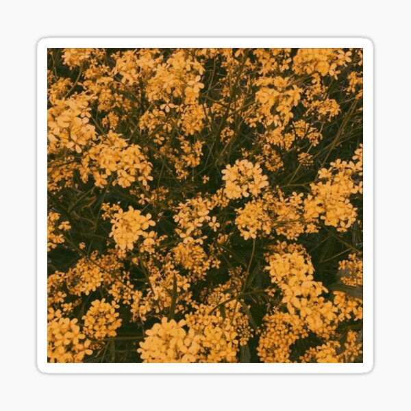 "yellow flowers" Sticker for Sale by rosesharry | Redbubble