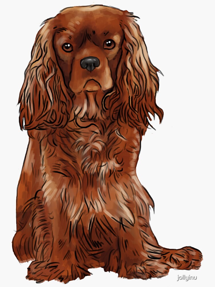 "Cavalier King Charles Spaniel - Ruby" Sticker for Sale by jollyinu ...