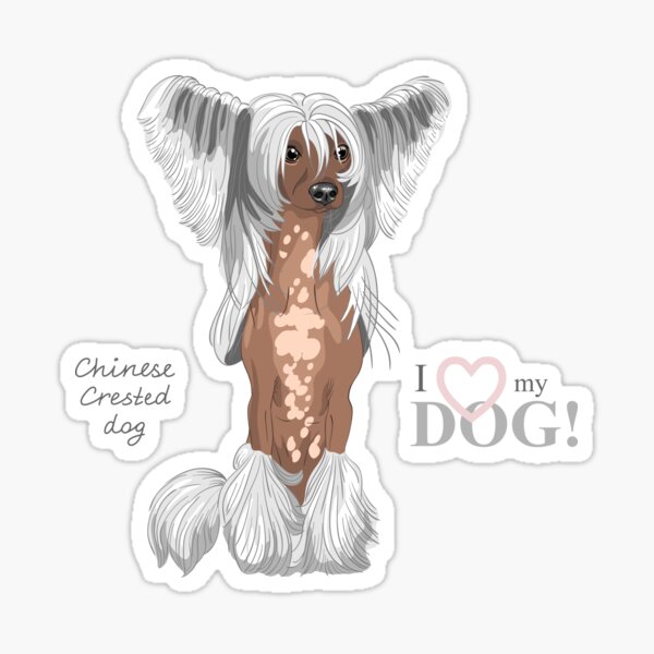 " Chinese crested dog" Sticker for Sale by kavalenkava | Redbubble