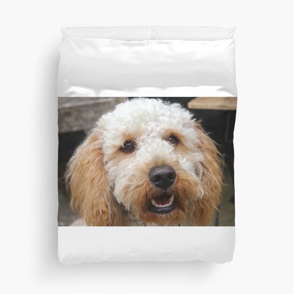 "Cockapoo" Duvet Cover for Sale by GreyFeatherPhot | Redbubble