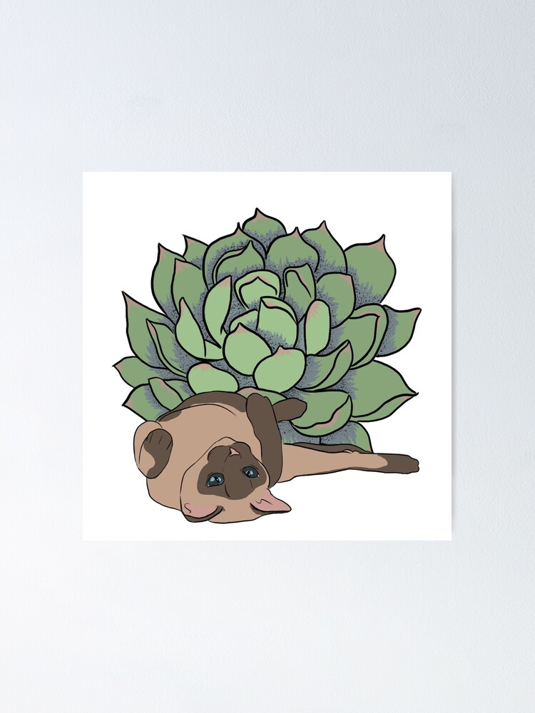 "Tobi the Cat" Poster for Sale by Bridget-Longo | Redbubble