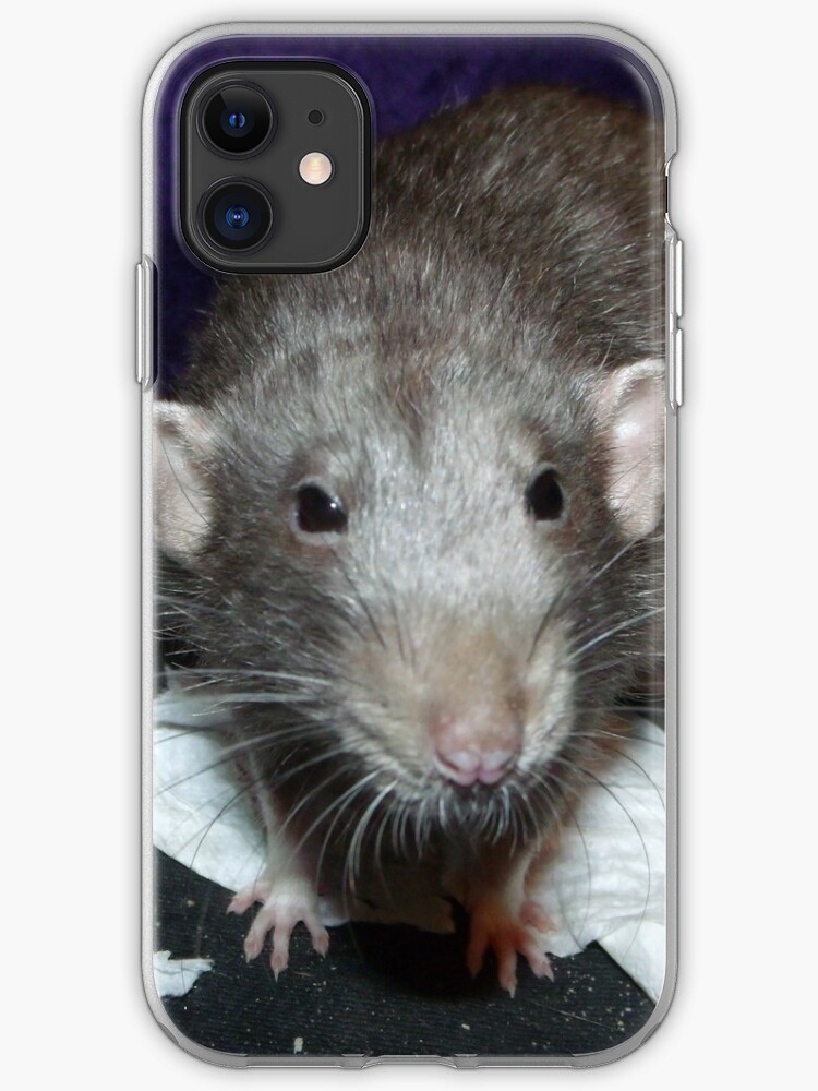 "bog roll rat" iPhone Case & Cover by mindgoop | Redbubble