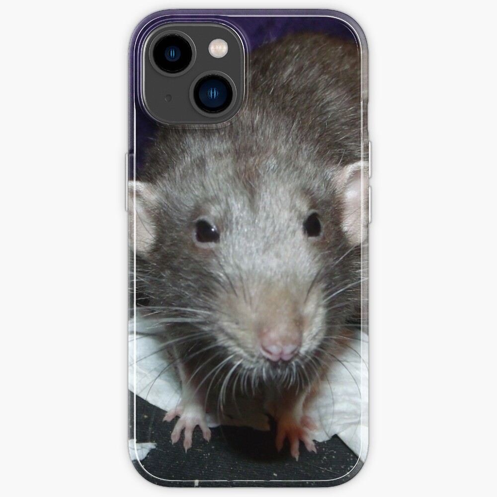 "bog roll rat" iPhone Case for Sale by mindgoop | Redbubble